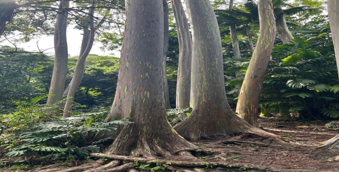 Life Planning Training: Reinforcing My Purpose – Part 1 - Apprise ...